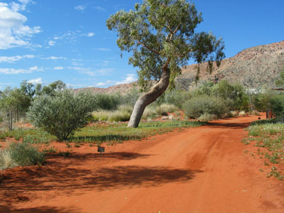 Sand Country - Alice Springs Desert Park
